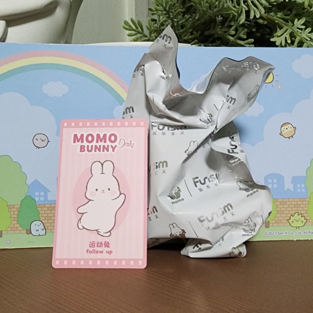 Momo Bunny Blind Box, Hobbies & Toys, Toys & Games on Carousell