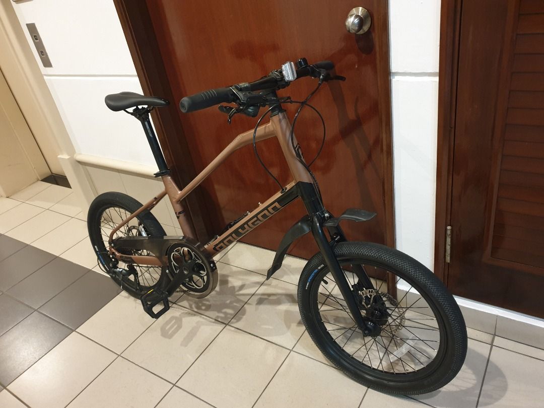 Polygon Zeta 2 Mini Velo Bike, Sports Equipment, Bicycles & Parts ...