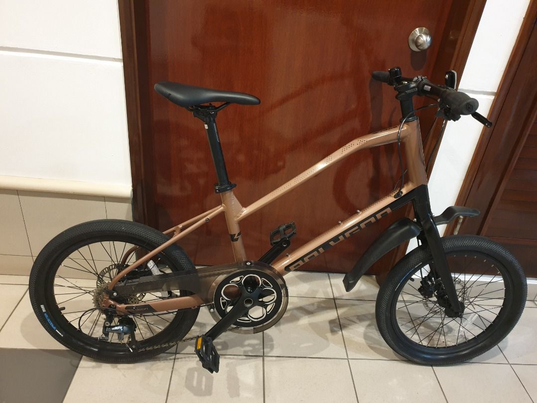 Polygon Zeta 2 Mini Velo Bike, Sports Equipment, Bicycles & Parts, Bicycles on Carousell