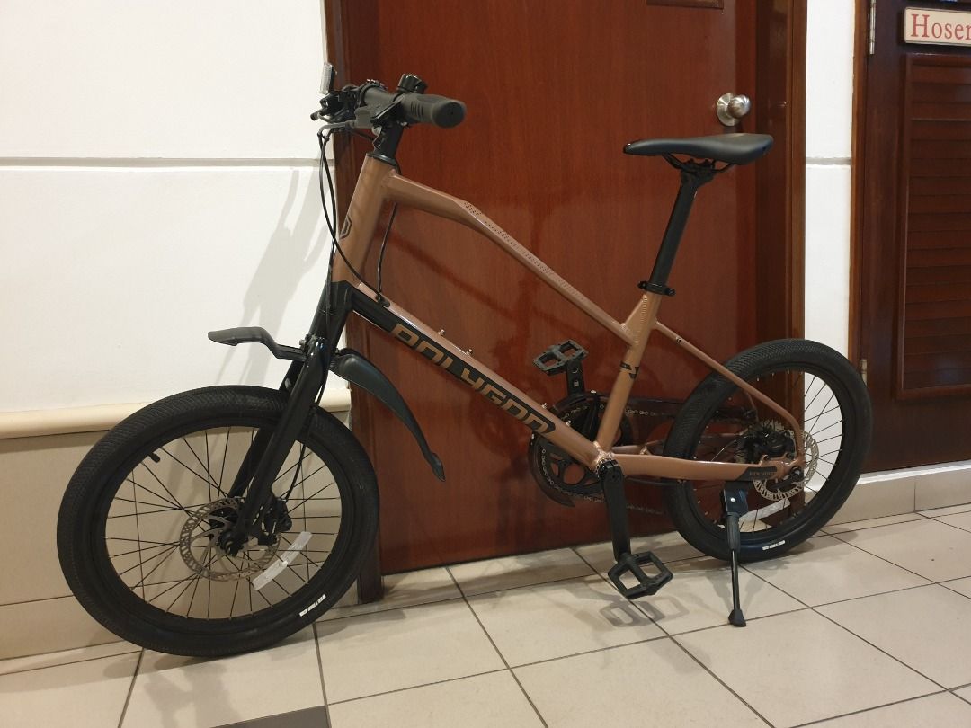 Polygon Zeta 2 Mini Velo Bike, Sports Equipment, Bicycles & Parts, Bicycles on Carousell
