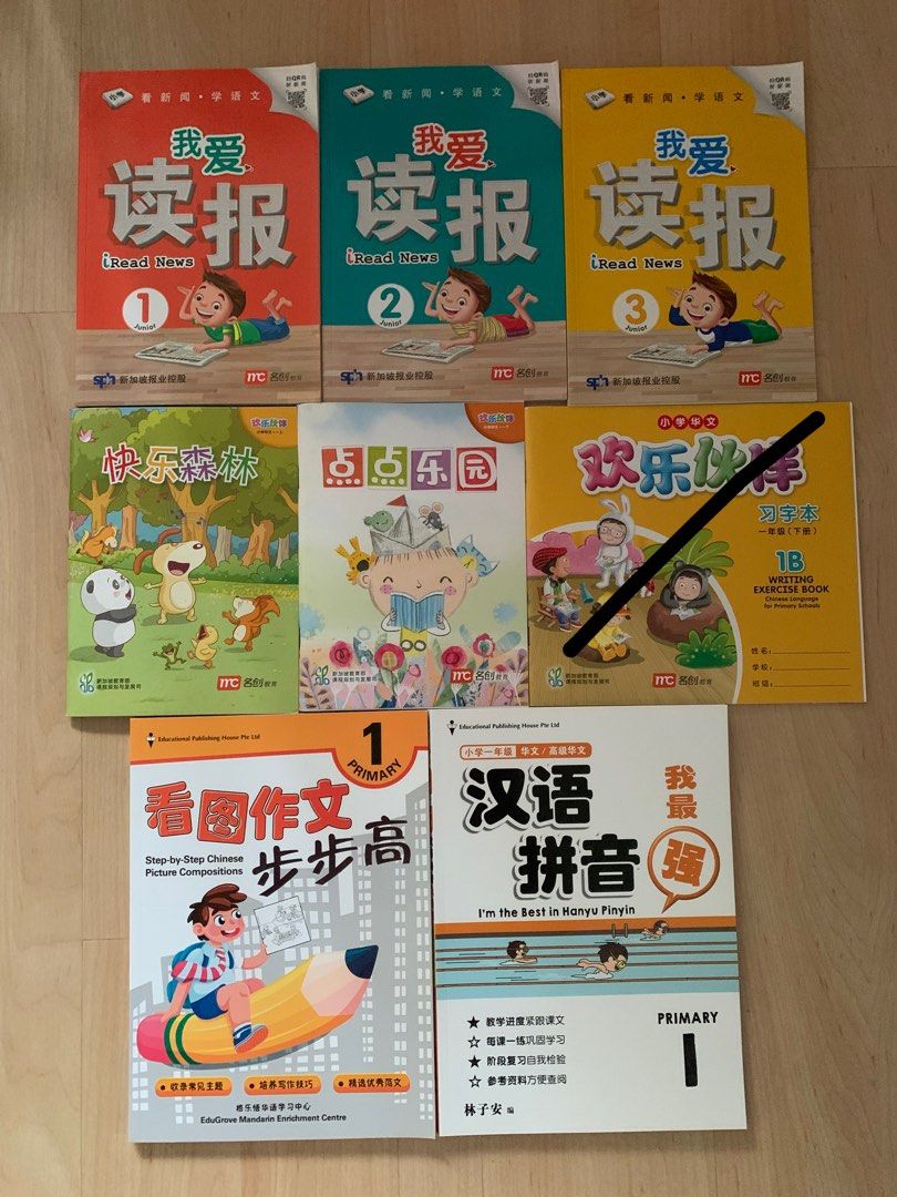 Primary One P1 Maths English Chinese School Books Text Books, Hobbies ...