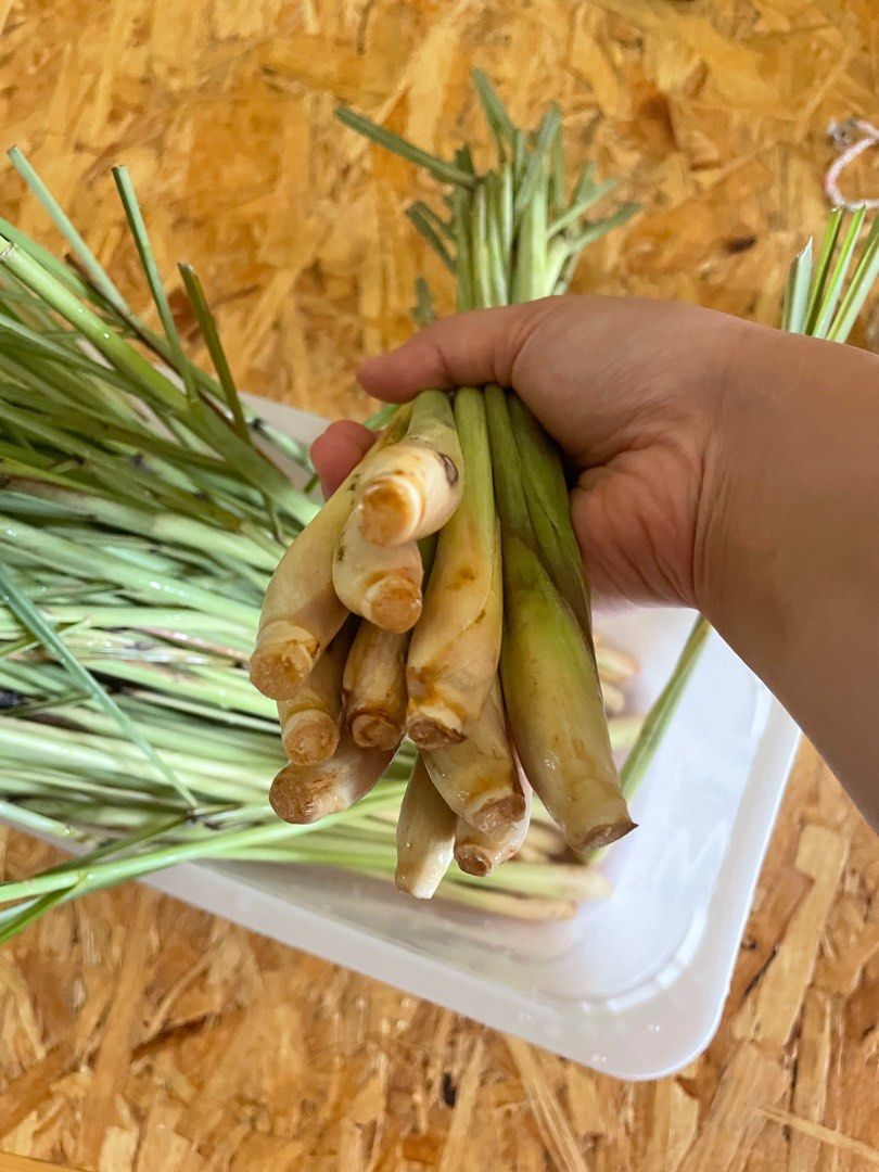 SERAI SEGAR, Food & Drinks, Fresh Produce on Carousell