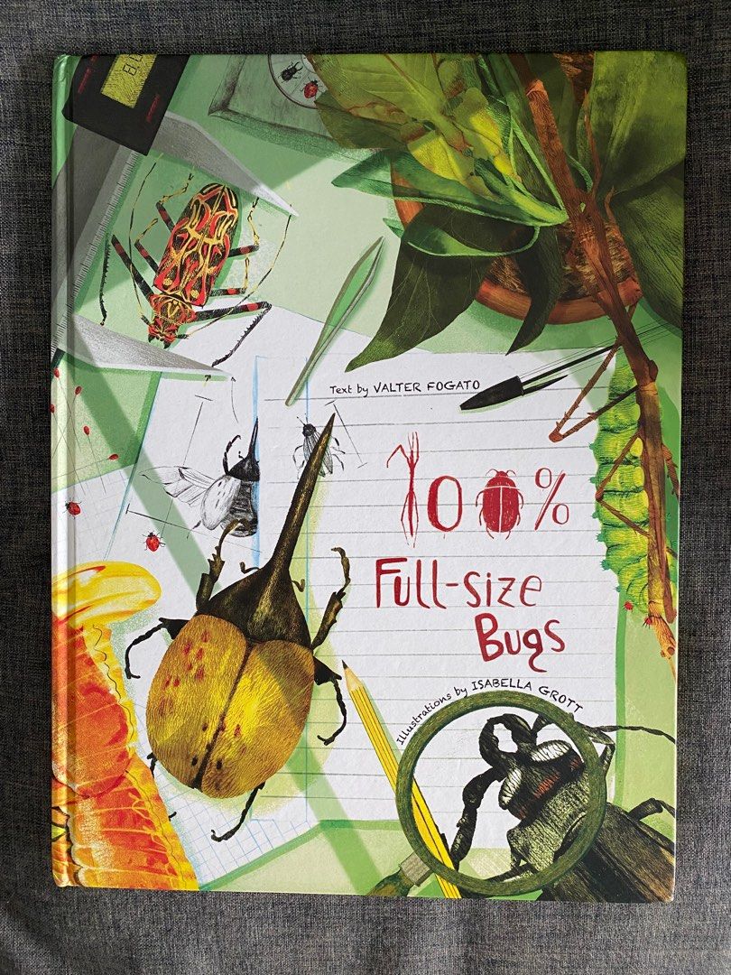 100% Full Size Bugs, Hobbies & Toys, Books & Magazines, Children's ...