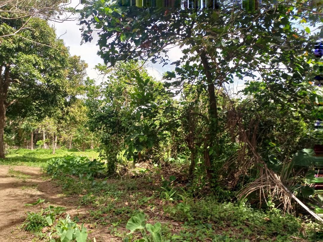 Agricultural farm lot for sale near Tagaytay, Property, For Sale, Lot on Carousell