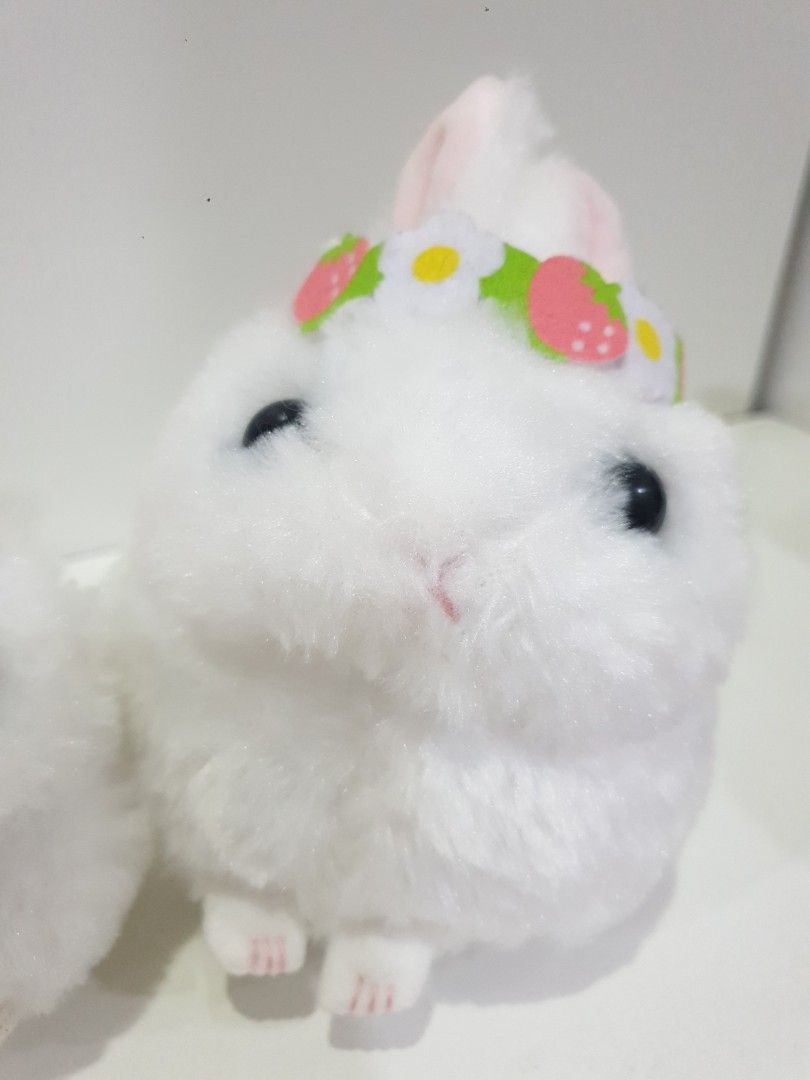 Amuse bunny plush toy set of 2, Hobbies & Toys, Toys & Games on Carousell