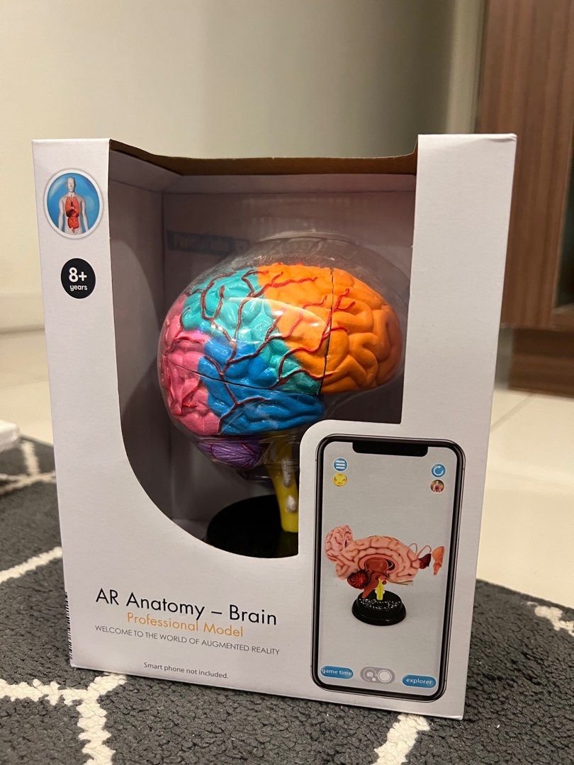 Augmented Reality - Brain - Brand New on Carousell
