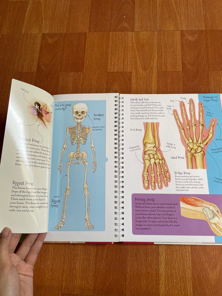 BIG BAD WOLF BBW HUMAN BODY ENCYCLOPAEDIA, Buku & Alat Tulis, Buku di ...