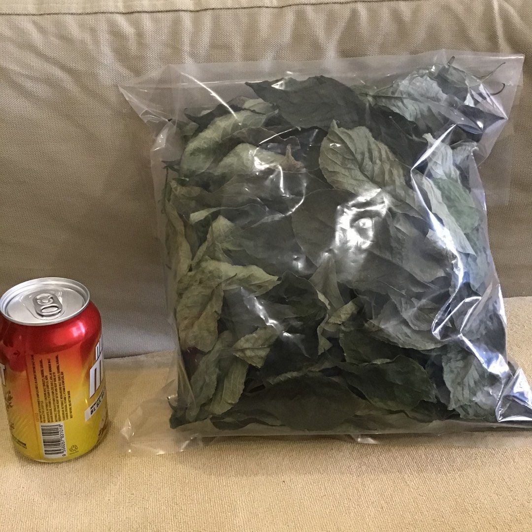 Daun kering herba pokok pecah beling pecah kaca, Food & Drinks, Fresh ...
