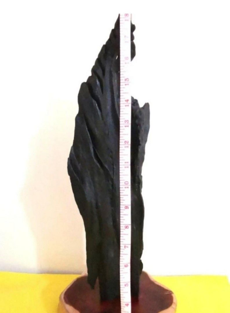 Kemuning Hitam 黑金药王风化木风水摆件附红檀木底座 Hobbies And Toys Memorabilia And Collectibles Religious Items On