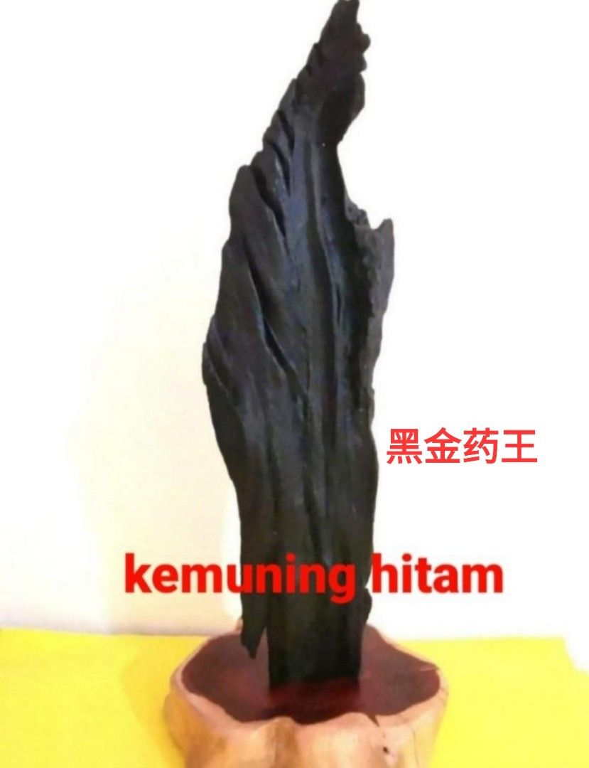 kemuning hitam 黑金药王风化木风水摆件附红檀木底座, Hobbies & Toys, Memorabilia ...