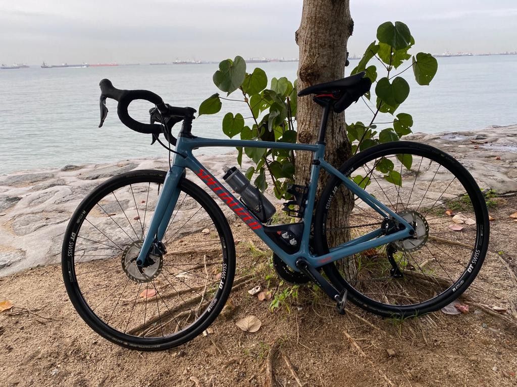 Specialized Roubaix Comp, Sports Equipment, Bicycles & Parts, Bicycles ...