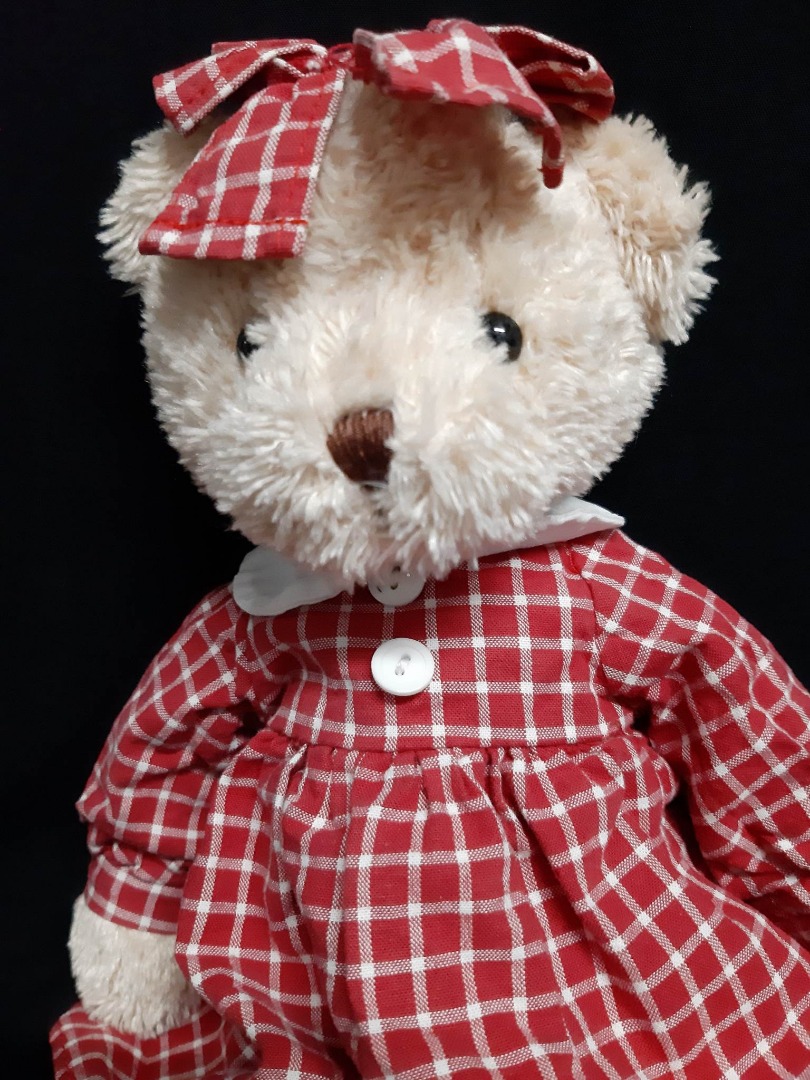 Teddy Bear Museum Collectible Bears - Ethel on Carousell