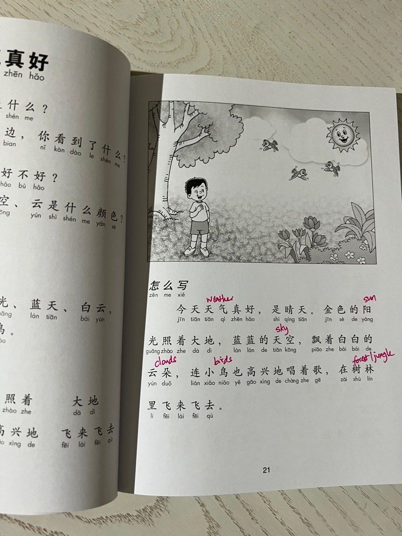 The Essential Chinese Composition Guidebook for Primary students ...