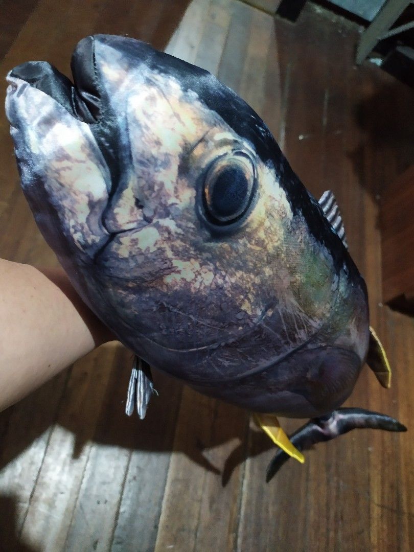Tuna fish stuff toy on Carousell