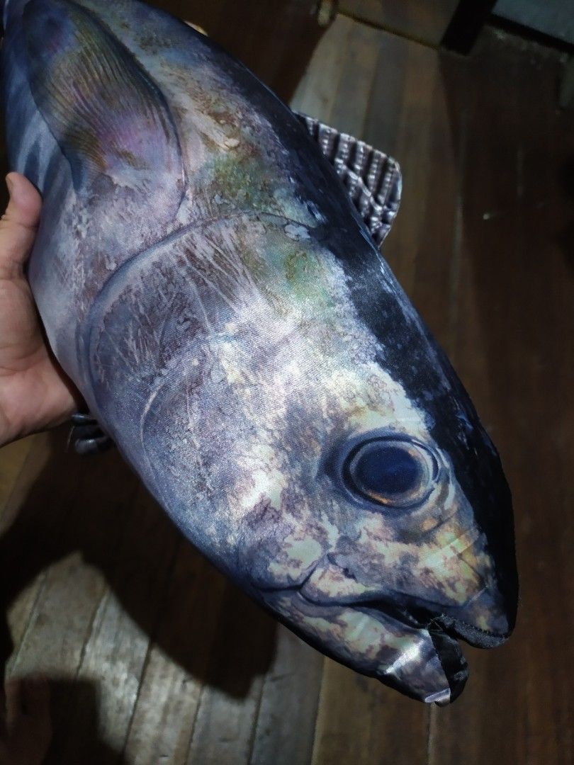Tuna fish stuff toy on Carousell