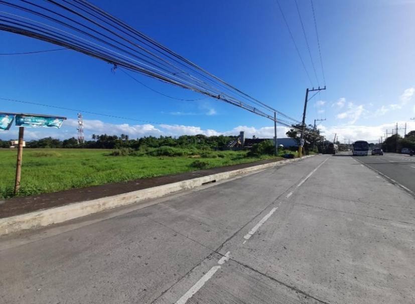 2.9 Hectares Undeveloped Land Patimbao, Sta. Cruz, Laguna National ...