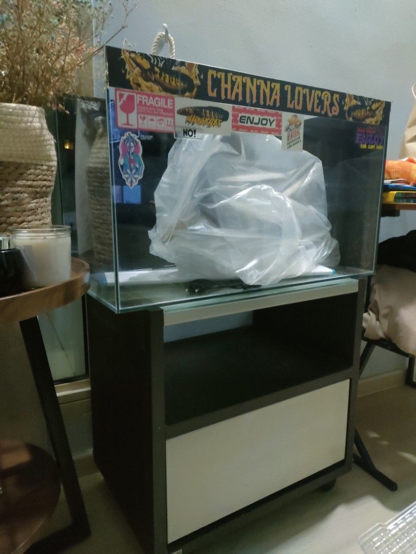 3 ft Fish tank setup, Sports Equipment, Fishing on Carousell