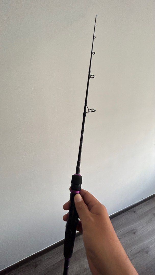 Bibi Gun Spinning, Sports Equipment, Fishing on Carousell