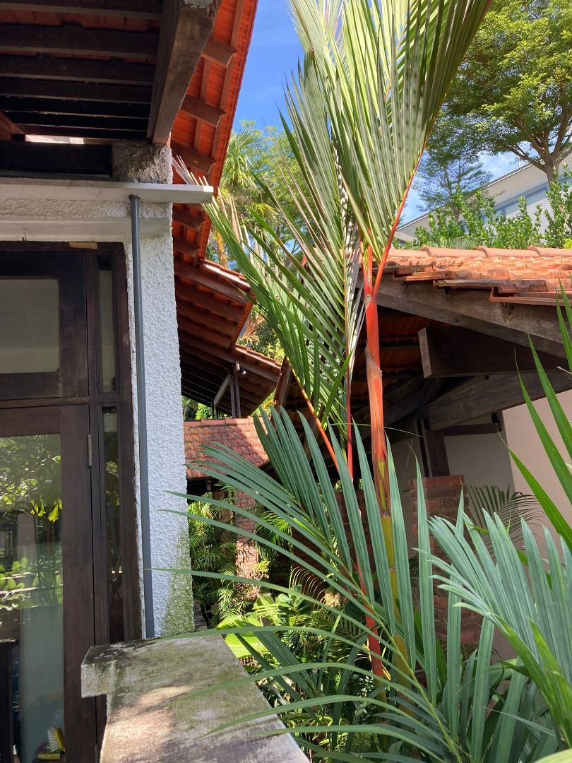 Collection of 25 tropical potted plants, Furniture & Home Living ...