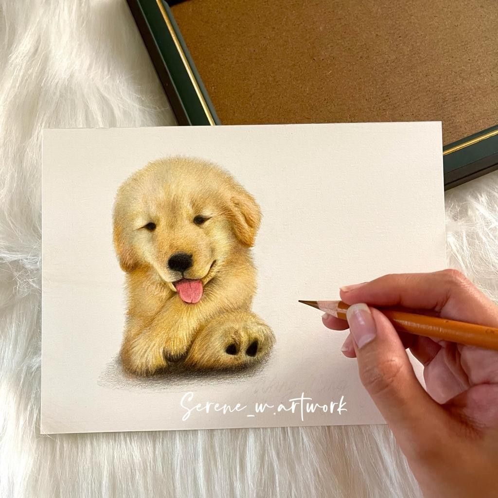 Customize Pet Drawing / Colorpencil Drawing / Special Gift, Hobbies ...