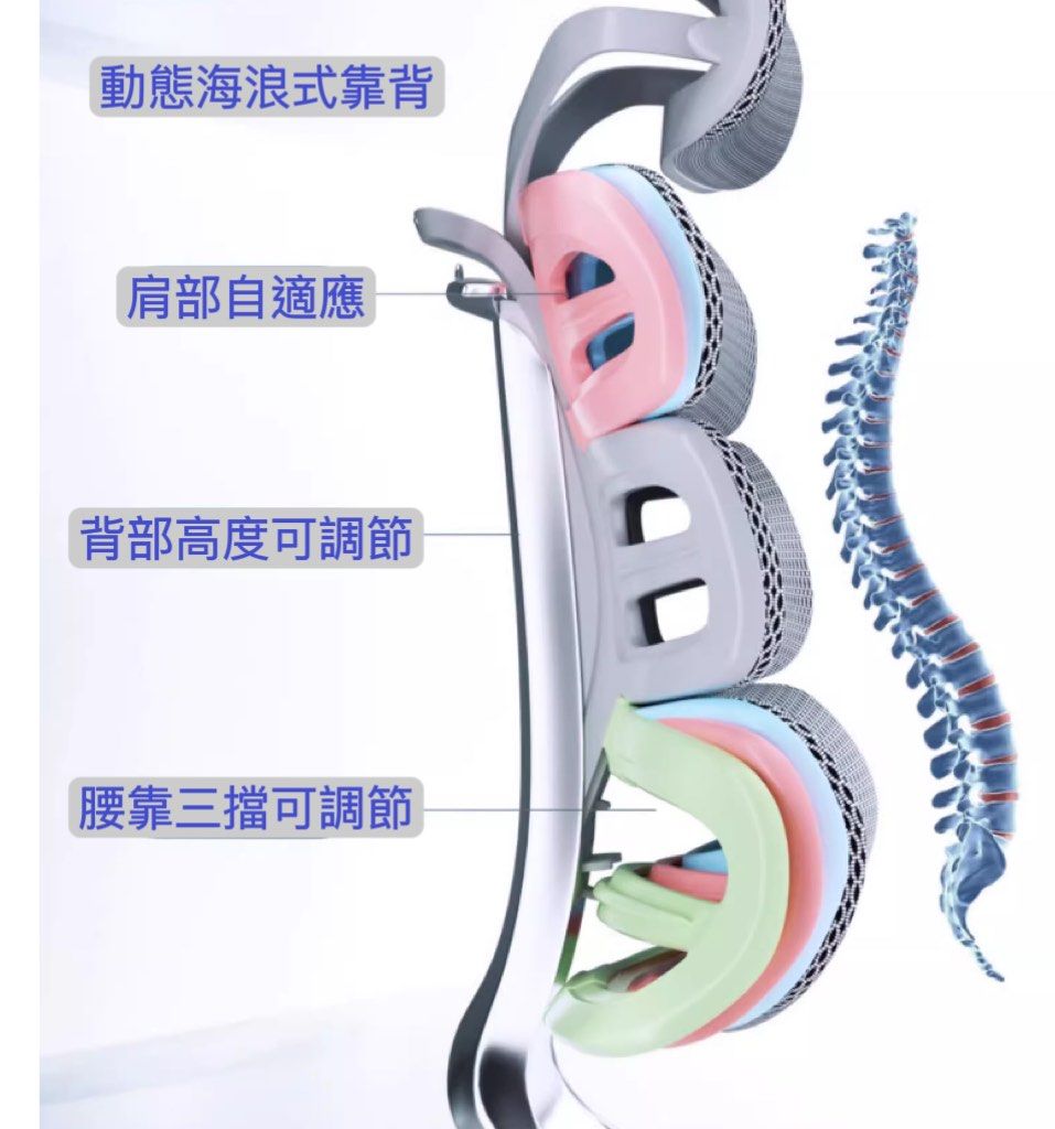 2025版ERGOMAX Evolution 2 Pro Max Ergonomics 人體工學椅 高端網椅, 傢俬＆家居, 傢俬, 椅子 ...