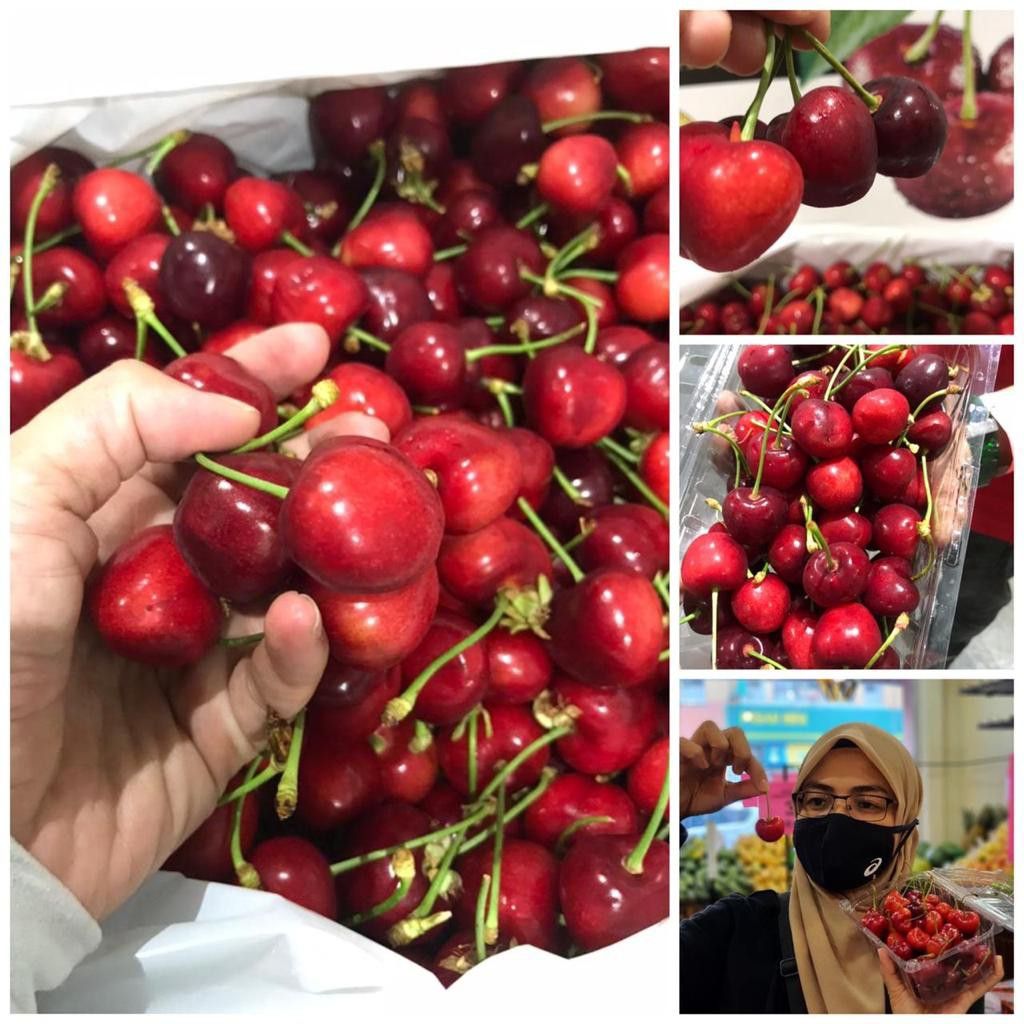 Fresh Cherry Turkey, Food & Drinks, Fresh Produce on Carousell