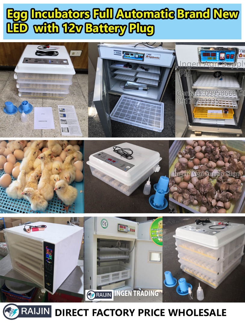 full automatic egg incubator dual powerhatcher LED with 12v battery ...