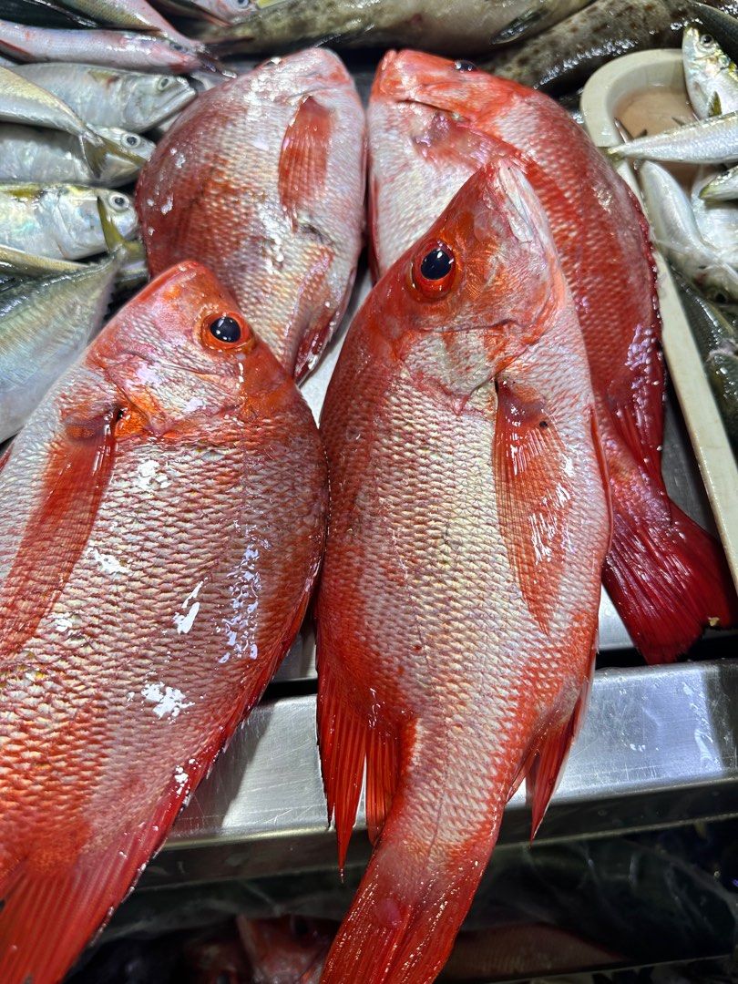 Maya maya, Food & Drinks, Fresh Produce on Carousell