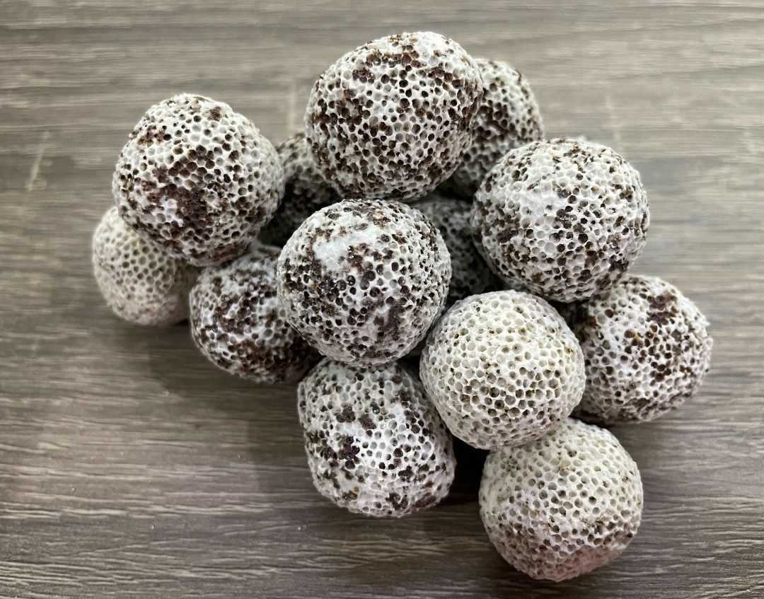 Peppered Porous Ring/Ball Aquarium FIsh Tank Media 250g/500g/1 Kilo on ...