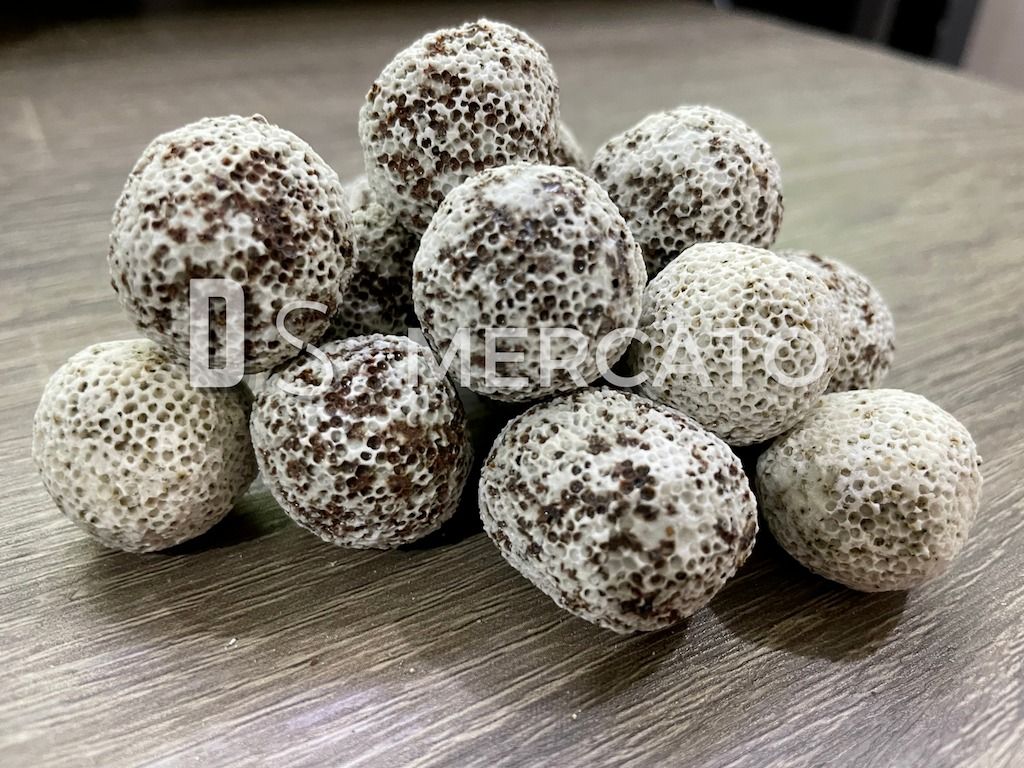 Peppered Porous Ring/Ball Aquarium FIsh Tank Media 250g/500g/1 Kilo on ...