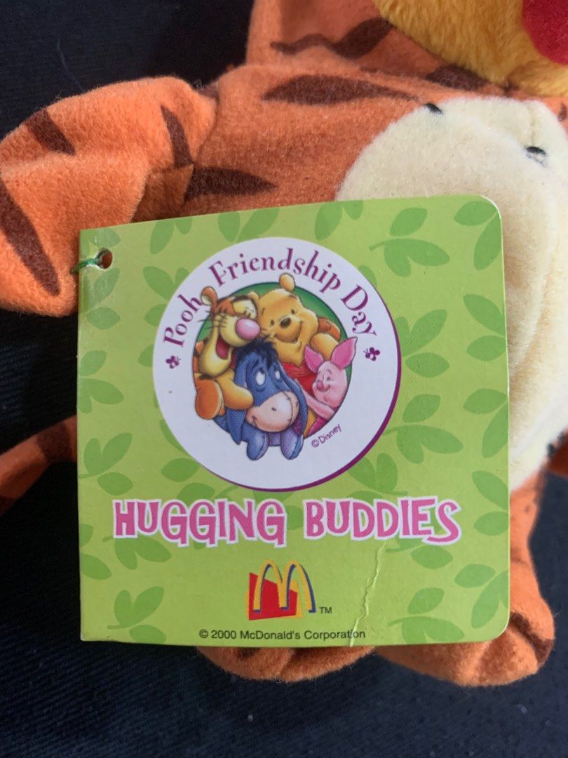 Pooh Friendship Day Hugging Buddies Winnie the Pooh in Tigger Costume ...