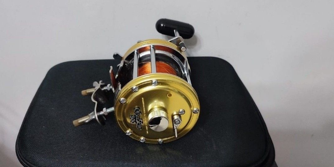 (Vintage) DAIWA SEALINE 300 MADE IN JAPAN, Sports Equipment, Fishing on ...