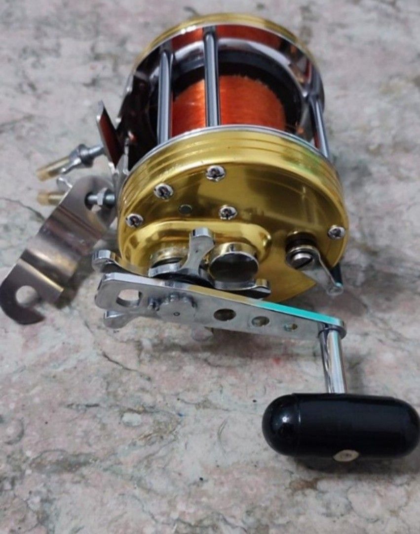 (Vintage) DAIWA SEALINE 300 MADE IN JAPAN, Sports Equipment, Fishing on ...