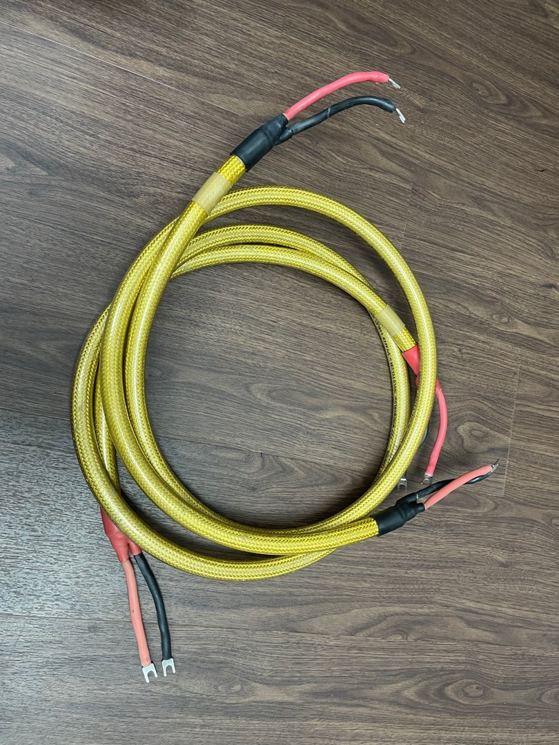 Wireworld Golden Eclipse Speakers Cable, Audio, Soundbars, Speakers ...