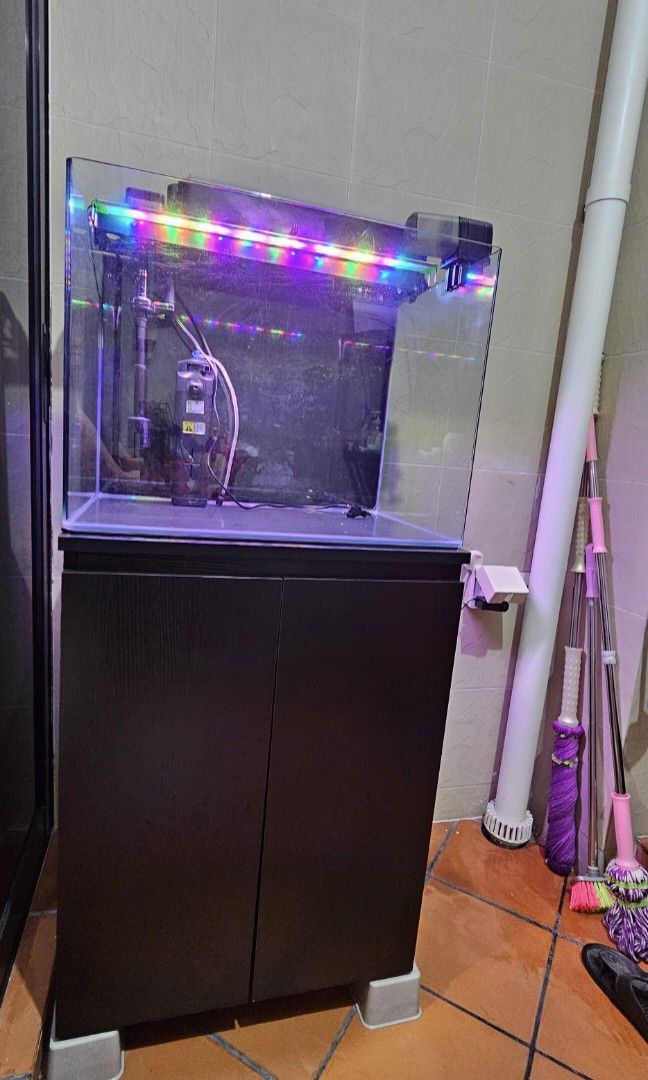 2ft fish tank with wooden cabinet ( complete set), Pet Supplies, Homes ...