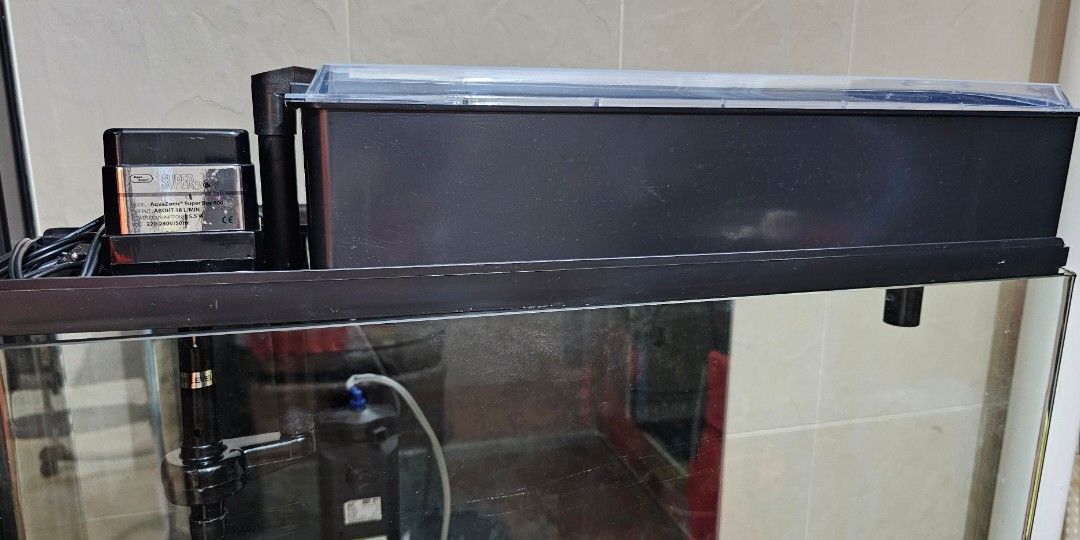 2ft fish tank with wooden cabinet ( complete set), Pet Supplies, Homes ...