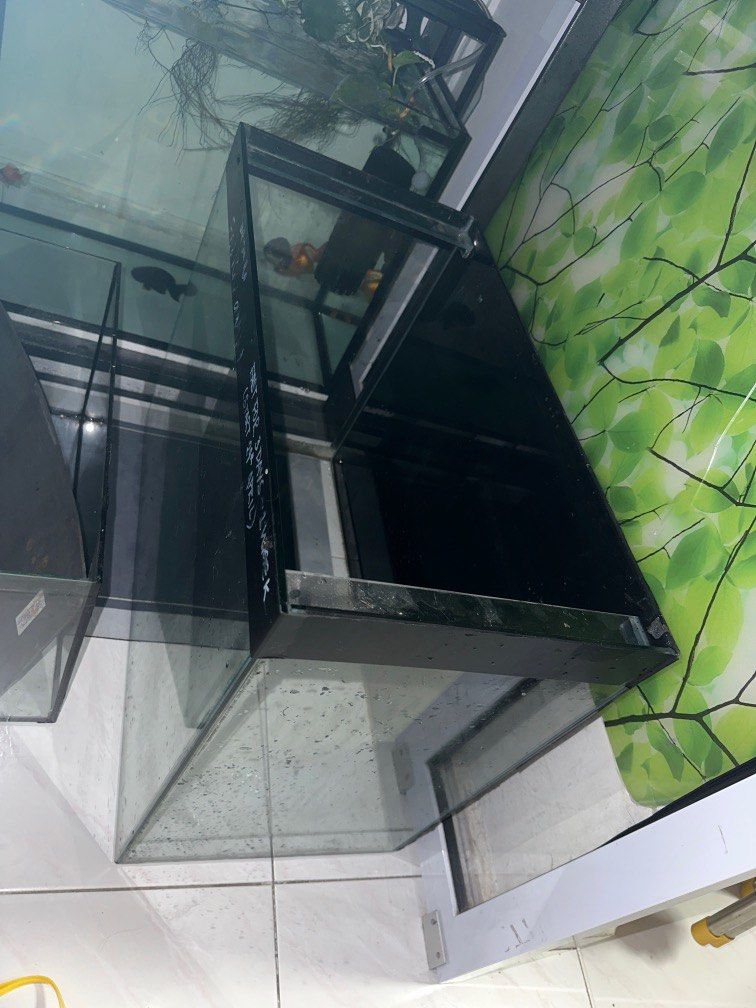 2ft tank, Pet Supplies, Homes & Other Pet Accessories on Carousell