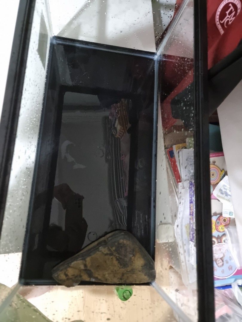 60cm gex low fish tank, Pet Supplies, Homes & Other Pet Accessories on Carousell
