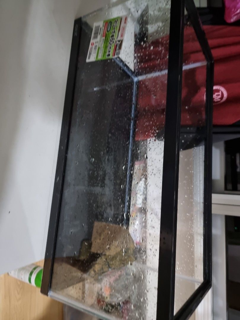 60cm gex low fish tank, Pet Supplies, Homes & Other Pet Accessories on Carousell