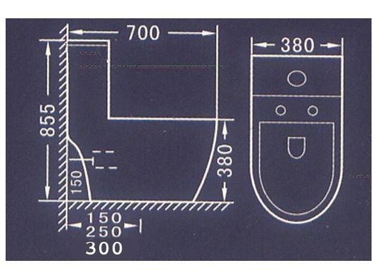 Arino Caprio WC 1 Piece Toilet Bowl with Geberit Dual Flush System S ...