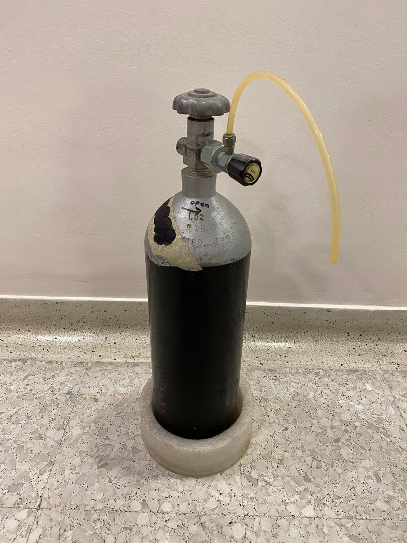 Planted fish tank C02 canister/tank (50cm x 14cm), Pet Supplies, Homes ...