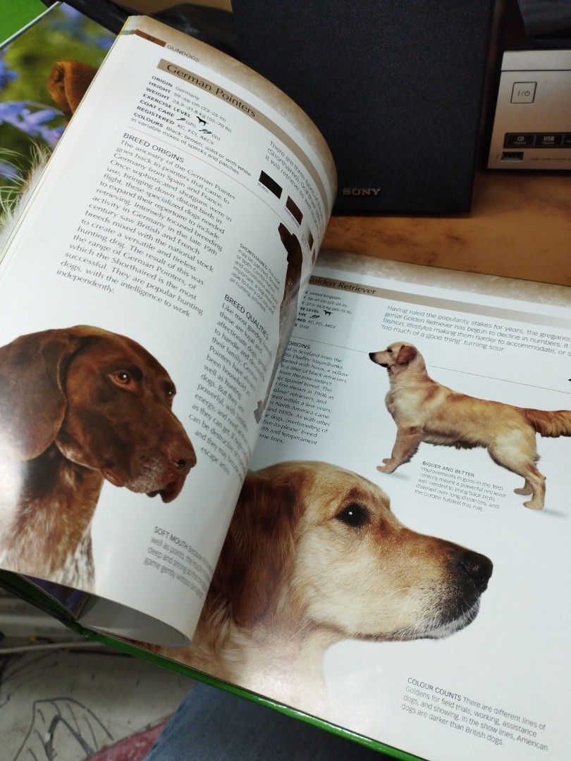 (ENG) The Ultimate Guide To Dogs, Hobbies & Toys, Books & Magazines ...