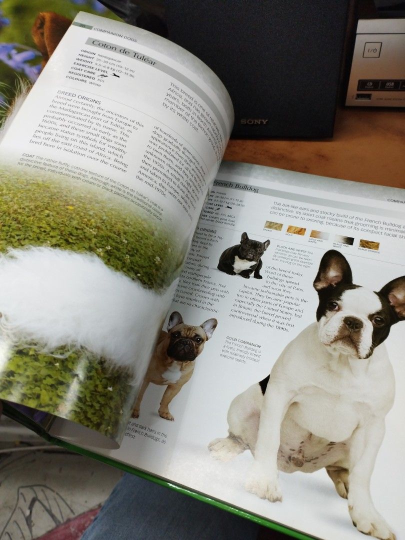 (ENG) The Ultimate Guide To Dogs, Hobbies & Toys, Books & Magazines ...