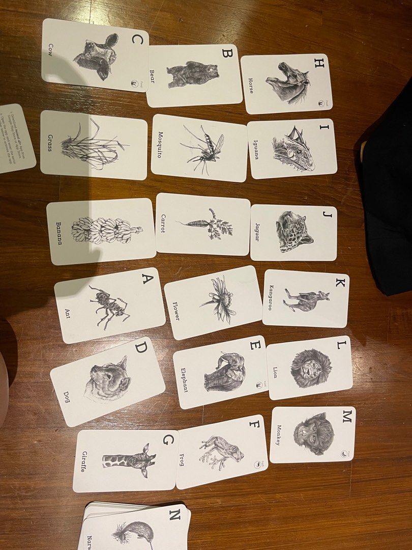 FREE MAILING - authentic animal 4d alphabet cards augmented reality ...