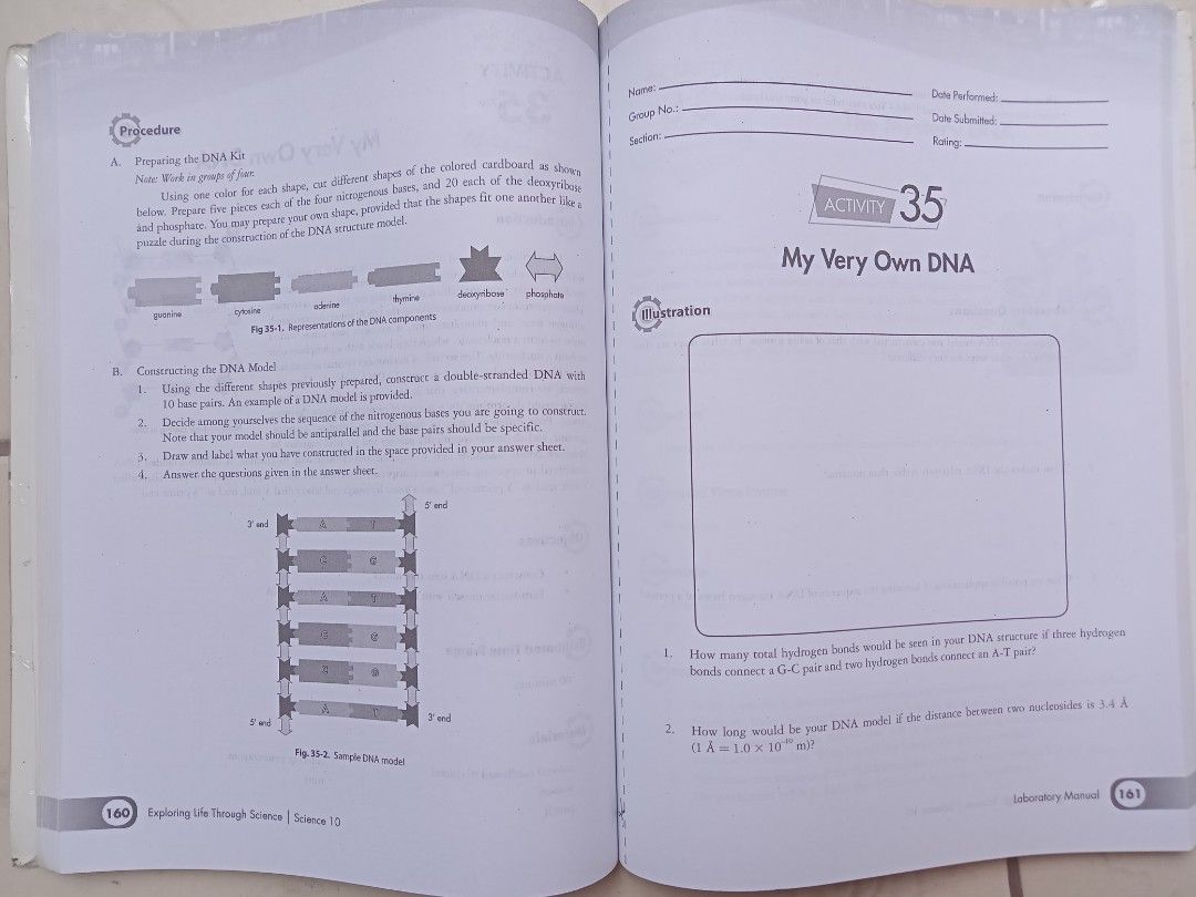 Grade 10 Exploring Life Through Science Laboratory Manual Second ...