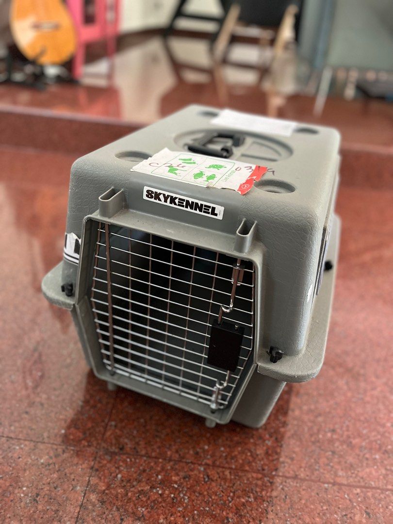 IATA cat crate cage plane, Pet Supplies, Homes & Other Pet Accessories ...