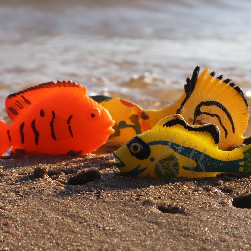 Mini Ladybug & Fish Model Toys Action Figures For Kids, Hobbies & Toys ...