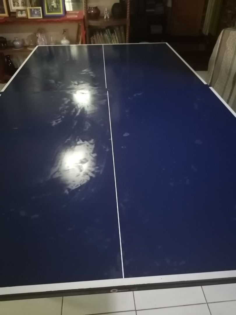 Professional Indoor Table Tennis by Speed Pro 9x5 feet on Carousell