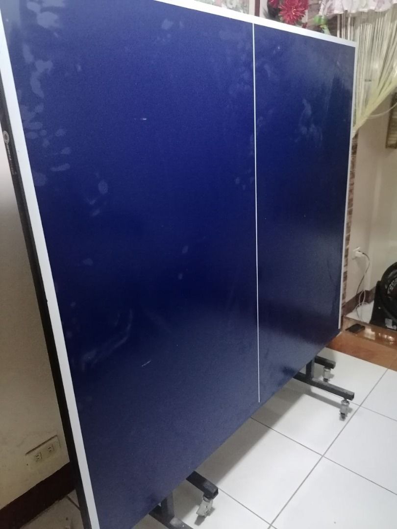 Professional Indoor Table Tennis by Speed Pro 9x5 feet on Carousell