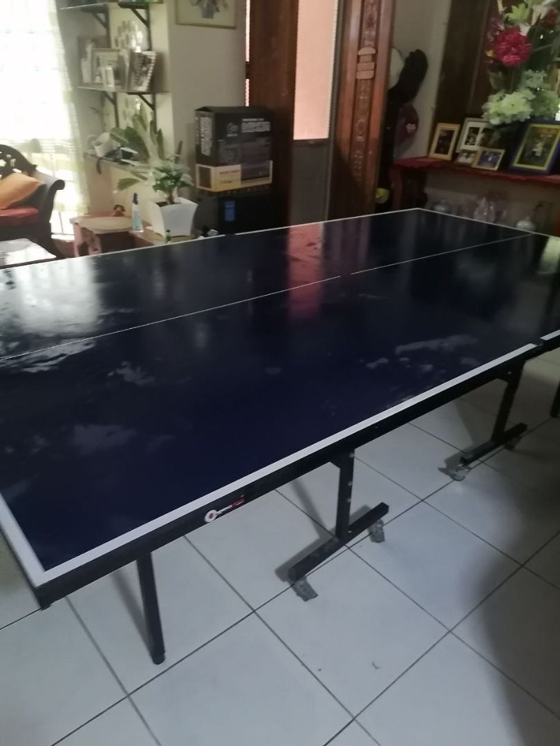 Professional Indoor Table Tennis by Speed Pro 9x5 feet on Carousell